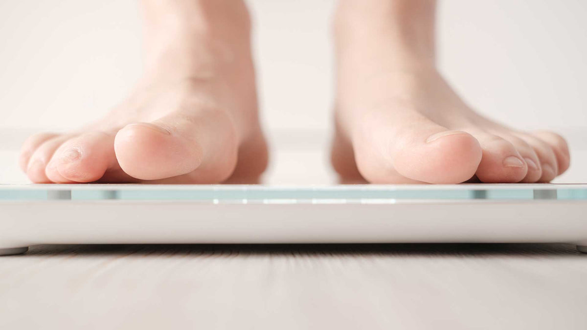 Introduction to Body Fat Monitors – Sweatband